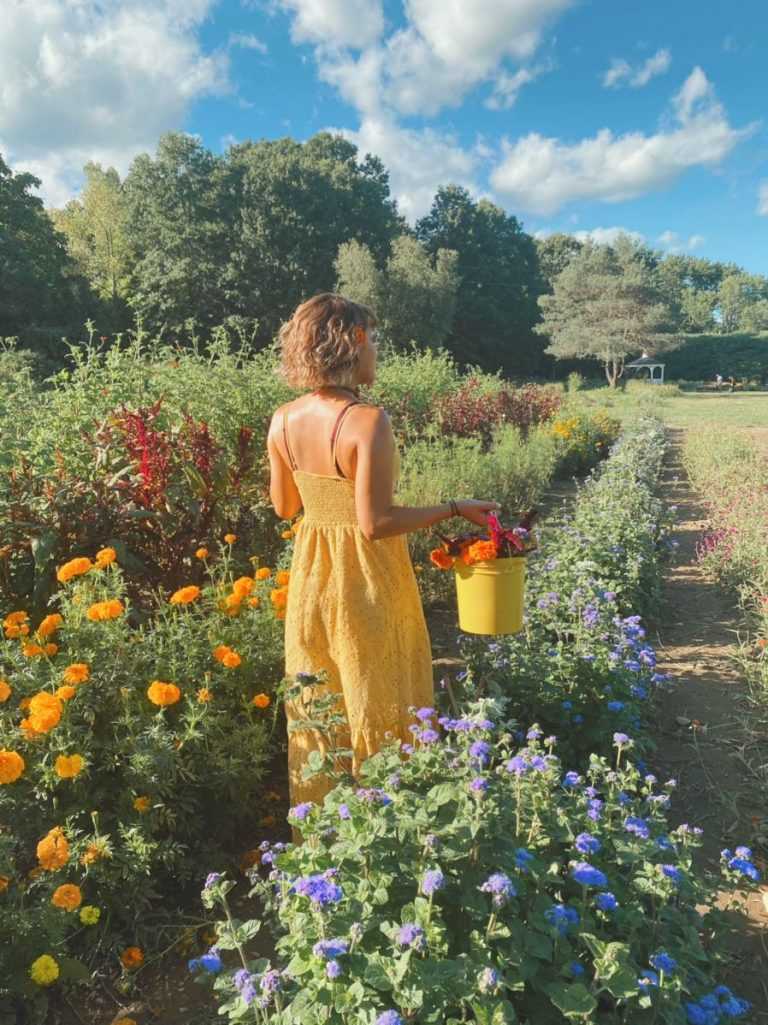 4K Cottagecore Wallpaper | WhatsPaper