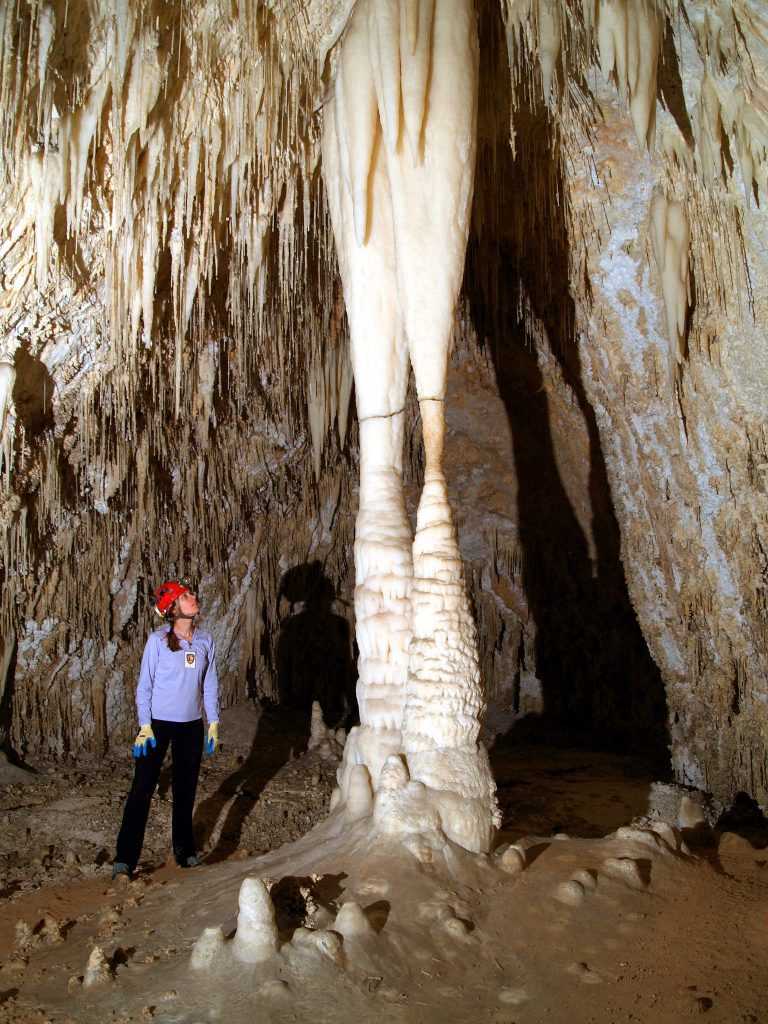 Whatsapp Wallpapers Wallpaper Cave