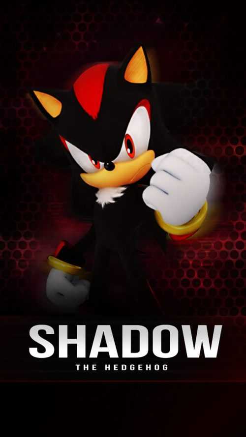 4K Shadow The Hedgehog Wallpaper | WhatsPaper