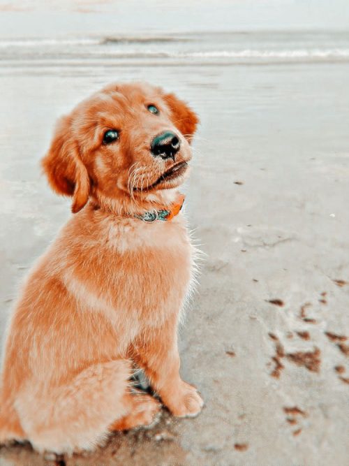 Preppy PFP Wallpaper | WhatsPaper