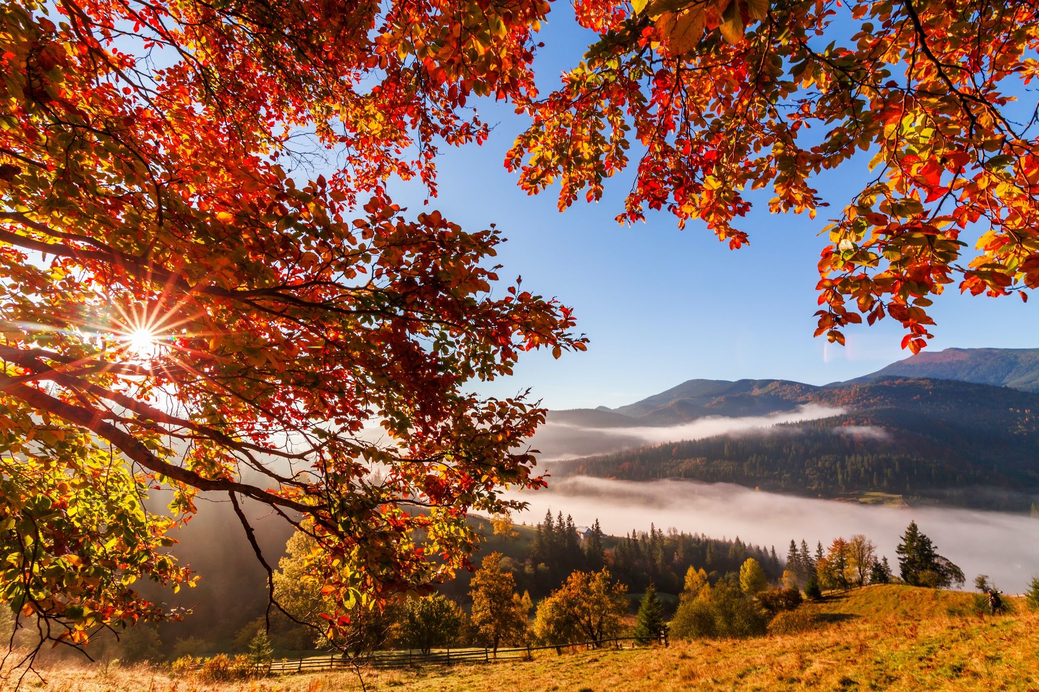 Desktop Fall Pictures Wallpaper WhatsPaper Desktop Fall Pictures Wallpaper WhatsPaper